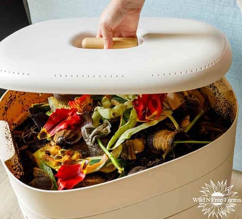 Introducing Vermicompost Tea: The Secret Nutrient Booster That Will ...